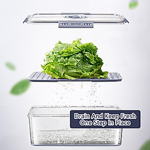 Dafape Refrigerator Organizer, Food Storage Container with Freshness Timer Lid Drain Tray Storage Bins for Fruits Vegetable Meat Dumpling Kitchen Fridge Plastic Reusable Stackable Non-Slip (Gray)