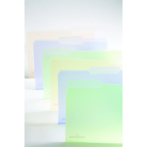 Baby Briefcase Baby Paperwork Organizer, Mint/Periwinkle