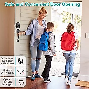 Electronic Keypad Deadbolt, AboLife Keyless Entry Door Lock, Auto Lock, Keyed Entry with Handle, Front Door Handle Sets, Digital Smart Door Lock - Black