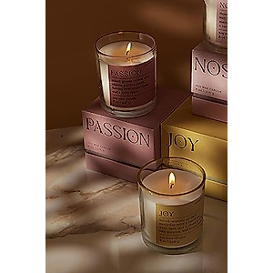 Paddywax Scented Candles Mood Collection Fragrant Boxed Candle in Glass Vessel, 8-Ounce, Cozy