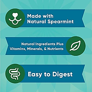 Greenies Anytime Bites Dog Treats, Mint Flavor, 24 oz. Bag