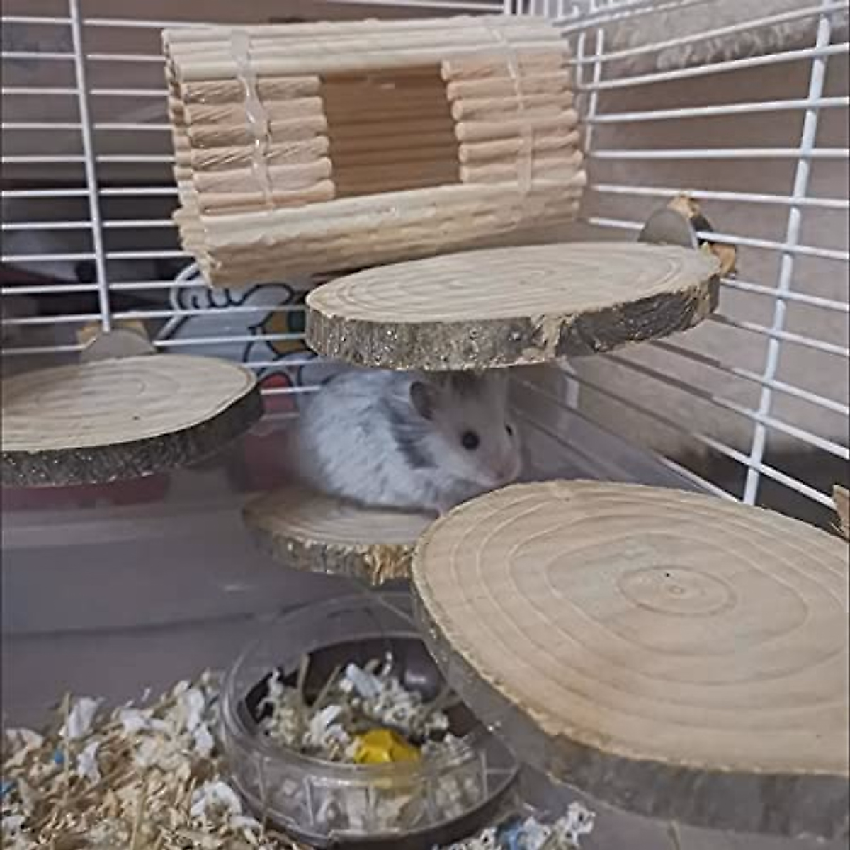 M-TOP Screw and Nuts for Building Bird Perch Stand, Hamster Platform, Chinchilla Wooden House, Small Animal Playground-Connecting and Fixing to Pet Cage(10 Packs)