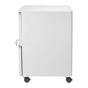 Storex Plastic Two-Drawer File Cabinet – Locking Document Organizer with Casters for Home and Office, Gray, 1-Pack (61310B01C)
