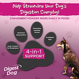 Vital Planet - Digest Dog Digestive Pancreatic Enzyme Blend with Pumpkin and Fennel to Support The Pancreas and Healthy Digestion with Pancreatin, Beef Flavored Powder for Dogs - 111 Grams 30 Scoops