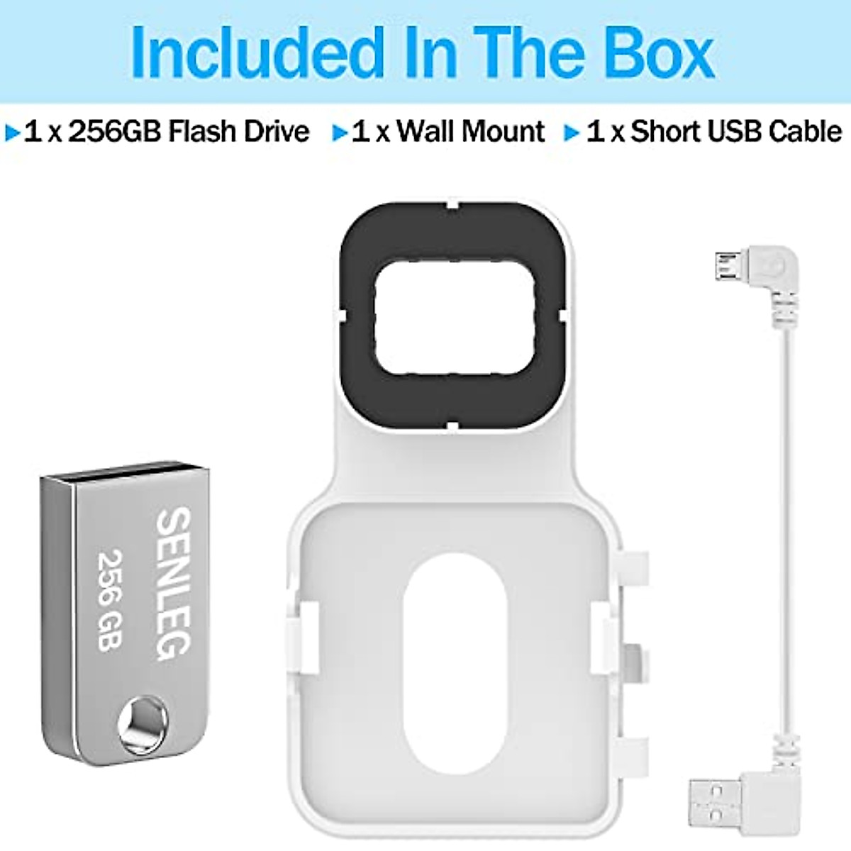 256GB Blink USB Flash Drive and Blink Sync Module 2 Mount, No-Drilling Easy Move Mount Bracket for Blink Outdoor Indoor Security System, with Short Cable (Blink Sync Module 2 is NOT Included)