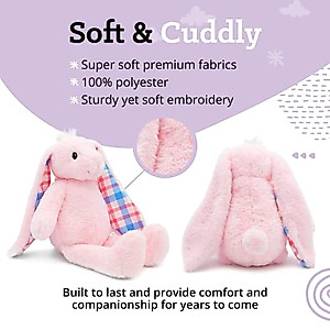 Plushible Easter Bunny Plush, Cuddly, Soft, Embroidered Stuffed Animal Toy for Newborns, Kids, Boys, & Girls, 14 Inch