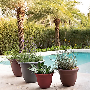 Bloem Ariana Self Watering Planter: 12" - Burnt Red - Durable Resin Pot, for Indoor and Outdoor Use, Self Watering Disk Included, Gardening, 3 Gallon Capacity