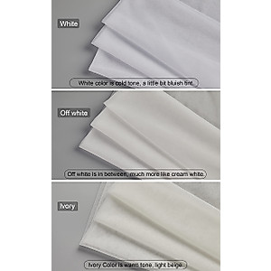 BEAUTELICATE Bridal Wedding 2 Tiers Long Cathedra Veil Cut Edge with Comb White Ivory Off-White