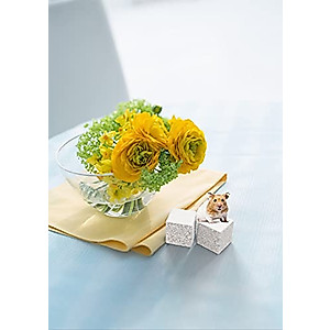 WANBAO 1.6 Inch Hamster Molar Lava Block, Small Animal Teeth Grinding Lava Block, for Rabbits, Parrots Etc 12 Pcs