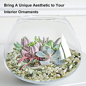 GASPRO 5 Pound Pebbles for Indoor Plants, 3/8 Inch Decorative Rocks for Bamboo, Vase, Succulents, Highly Polished and Smooth Surface, Jade