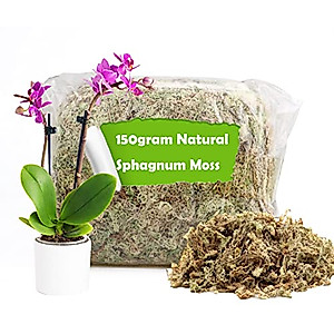 150 Grams Natural Sphagnum Moss Orchid Potting Mix, Organic Carnivorous Dried Peat Moss, Plant Supplies for Indoor Potting Soil, Perlite Blend, Reptile Bedding 3 Quart Sized Bag(Appx.5oz) by Giftape