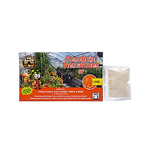Natures Good Guys Beneficial Nematodes Steinernema Feltia (SF) 5 Million