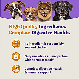 Halo Purely for Pets Holistic Dog Food, Complete Digestive Health Cage-Free Chicken and Brown Rice Recipe, Dry Dog Food Bag, Puppy Formula, 3.5-lb Bag