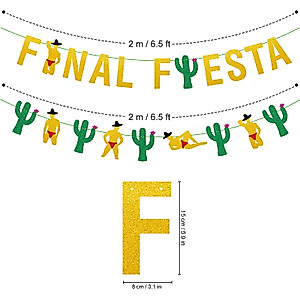 Final Fiesta Bachelorette Party Decorations Fiesta Bridal Shower Final Fiesta Banner Mexican Fiesta Theme Party Decor Mexico Hen Party Supplies Decor