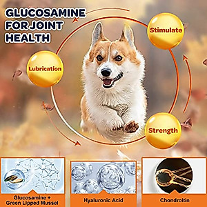 Glucosamine for Dogs, Hip and Joint Supplement For Dogs with Glucosamine Chondroitin MSM, Hyaluronic Acid, Turmeric Curcumin for Joint Pain Relief and Inflammation, Joint Health|180 Tablets