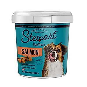 Stewart Freeze Dried Dog Treats, Wild Salmon, Grain Free & Gluten Free, 9.5 Ounce Resealable Tub, Single Ingredient, Dog Training Treats