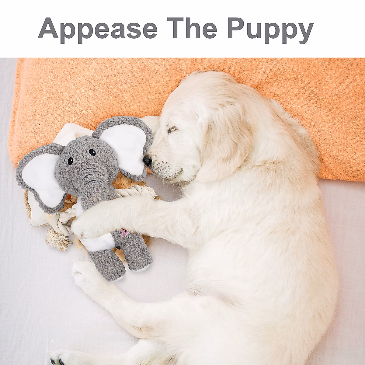 PAZ'S GIFT Dog Toys Cute Plush Elephant and pet Interaction Pulling, Soothing, Companionship, Sturdy Indoor Puppy Toys, Dog Squeaky Toys, Puppy, or Small, Medium Dog Teething or chew Toys