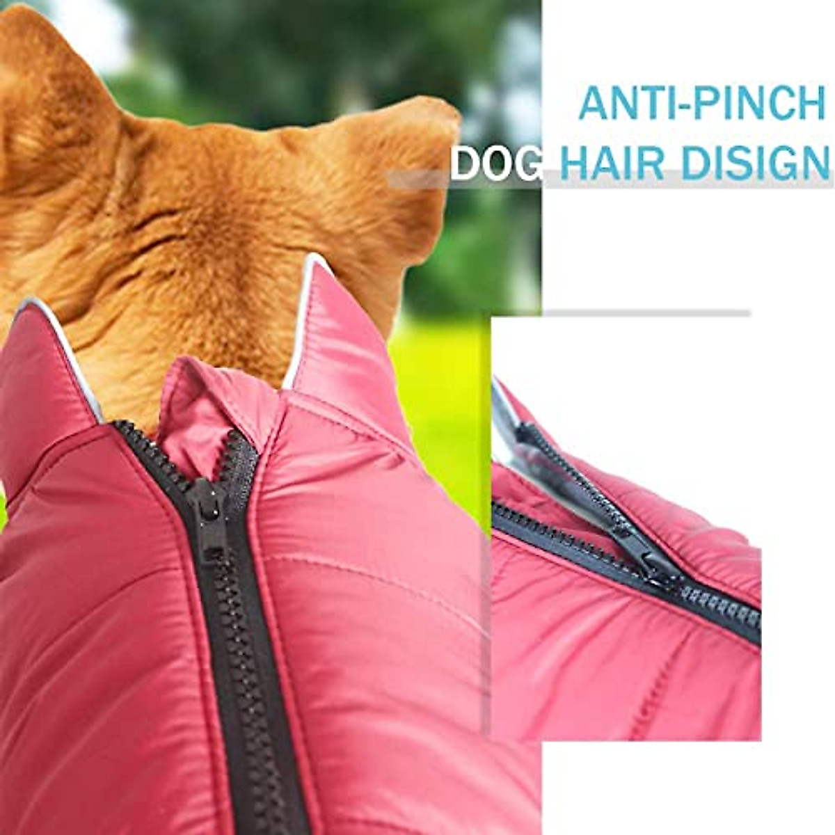 YUANNING Dog Winter Coat with Harness, Dog Reflective Jacket Pet Warm Zip Up Vest Windproof Waterproof Cold Weather Dog Coat Outdoor Winter Clothes for Smal Medium Dogs (S(12in))