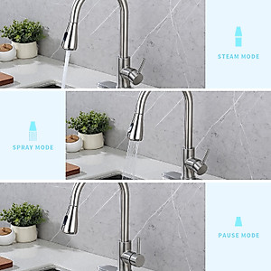 Kitchen Faucet with Pull Down Sprayer- Brushed Nickel Sink Faucets, 360° Swivel Single Handle High Arc Stainless Steel, Commercial Modern Kitchen-Faucets, 1/3 Hole, Deck Plate Included (2-Model)