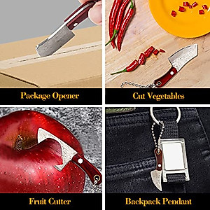 MOVNO Mini Pocket Knife Set Damascus Mini Utility Knife, Tiny Chef Knife with Sheath Cleaver for Package Opener Box Cutter, Camping Outdoor-4pcs-A