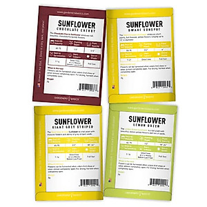 Sunflower Seeds for Planting Flowers (8 Pack) - Velvet Queen, Skyscraper, Lemon Queen, Giant , Autumn Beauty, Chocolate Cherry, Dwarf Sunspot and Mammoth Bulk Outdoor Flower Garden by Gardners Basics