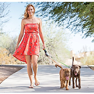 WIGZI (2 Two Dog Reflective Retractable Pet Leash – 360 Degree Zero Tangle Patent - Two Dogs Each up to 50 lbs and 10ft. Reflective Orange and Green Leads. Dual Locking, Small, Gray