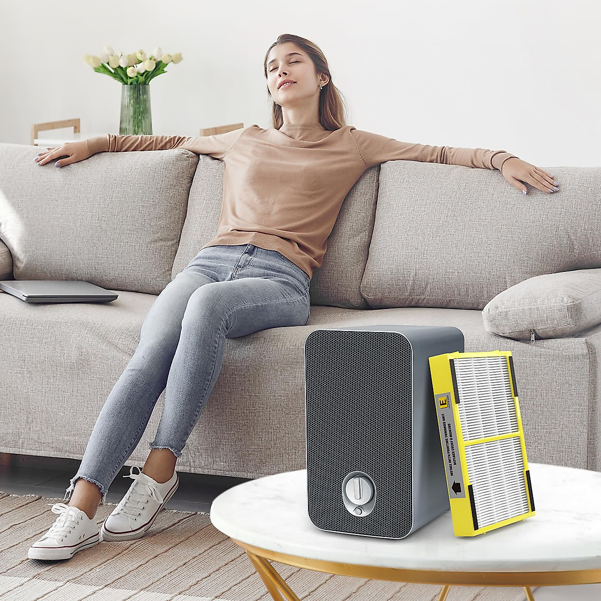 FLT4100 True HEPA Replacement Filter E for Guardian AC4100, AC4100CA, AC4150BL, AC4150PCA, AC4150P, 4 True HEPA Filter & 8 Activated Carbon Filter