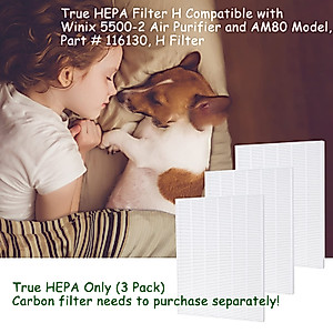 116130 HEPA Replacement Filter H Compatible with Winix 5500-2 Air Purifier and Models AM80, HEPA Filter Only 3 Pack