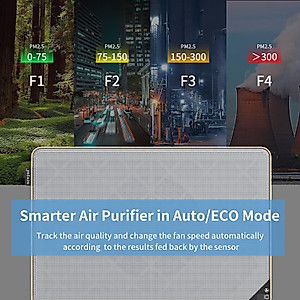 Newpad Replacement Filter for KJ-460