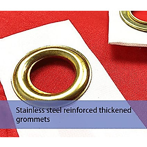 Kinoko Kingdom Flag Dream Smp Kinoko Kingdom Flag 3x5 FT Banner, Manberg Flag Double-Sided, 2 Brass Grommets for Indoor and Outdoor Flagging Room Dormitory Decoration