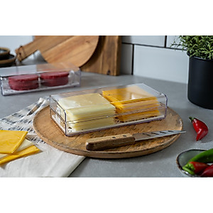 Pikanty American Sliced Cheese Holder | Airtight Storage Container for Fridge | Hinged Lid | Dishwasher Safe | Holds 24 Slices | Made in USA