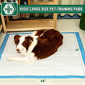 IMMCUTE Dog Pee Pads Extra Large, 36"x44", 30 Ct, Jumbo-Size Pee Pads for Dogs, Thicken Puppy Pads XL Pet Training Pads, Super Absorbent & Leak-Proof Pee Pads, Disposable Potty Pads for Dogs