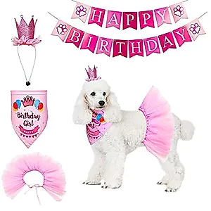 ADOGGYGO Dog Birthday Bandana Girl - Birthday Party Supplies - Pink Tutu Skirt Crown Hat Scarf Happy Birthday Banner Dog Girl Birthday Outfit for Pet Puppy Cat Girl (Pink)