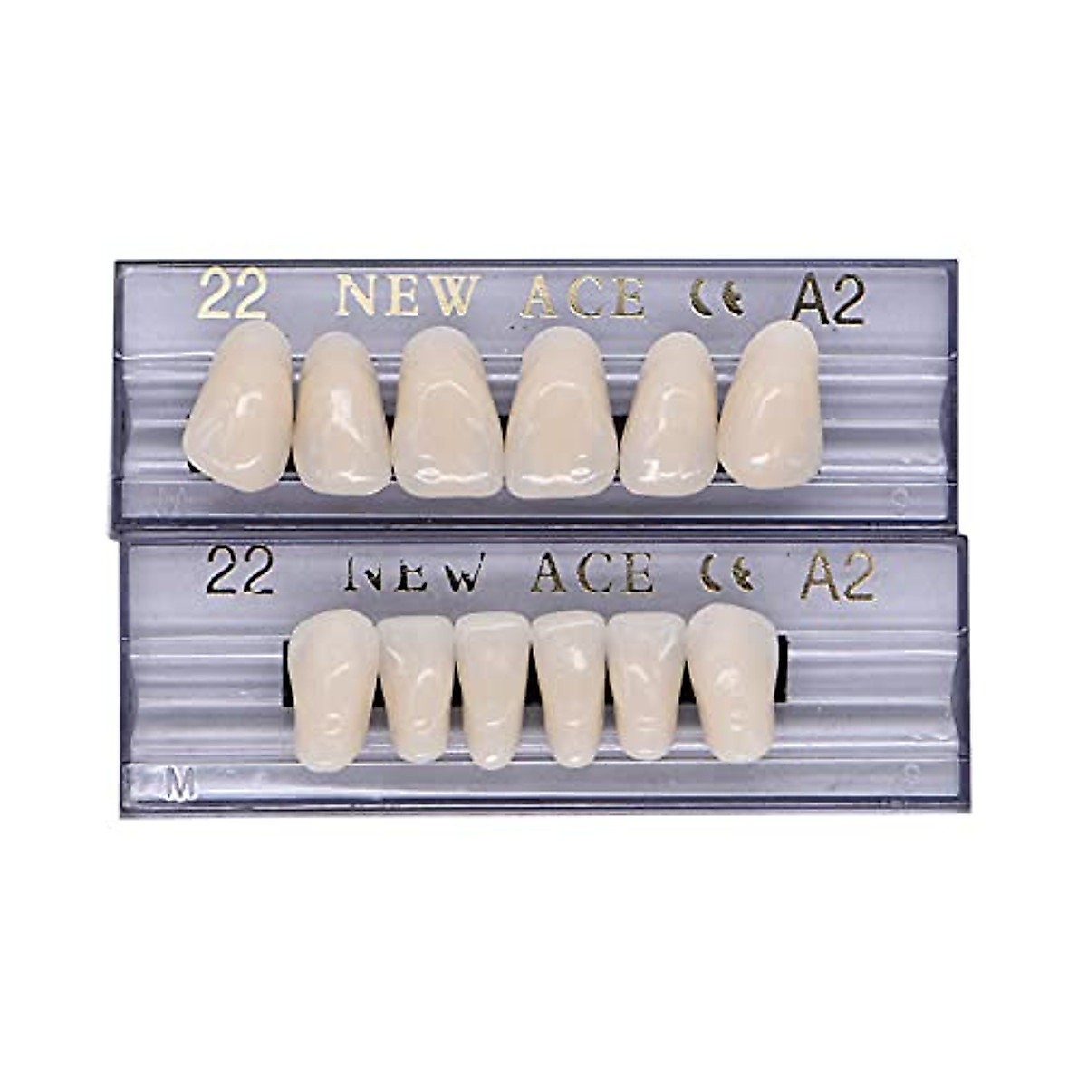 168 Pcs Dental Synthetic Resin Tooth Denture 6 Sets False Teeth 22 A2 Upper Lower Shade Dental for Halloween Horror Teeth (22 A2)