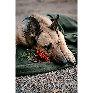 Stansport Wool Blend Camp Blankets - O.D. Green (1244)