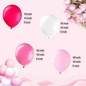 Civaner 168 Pack Balloon Garland Arch Kit Latex Balloon Different Sizes 18/10/5 Inch Balloons Wall Decor for Wedding Birthday Party(Gradient Pink)