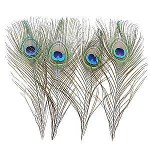 12 PCS Real Natural Peacock Eye Feathers 10-12 inch for DIY Craft, Wedding and Holiday Decorations