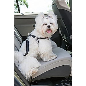 PAXCOO 60Pcs Swivel Snap Hooks and D Rings for Lanyard and Sewing Projects (1” Inside Width)