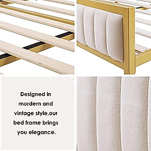 HIFIT Queen Size Bed Frame, Queen Bed Frame with Headboard, Heavy Duty Metal Foundation, Upholstered Bed Frame with Velvet Tufted Headboard, Wood Slat Support, No Box Spring Needed, Gold & Ivory White