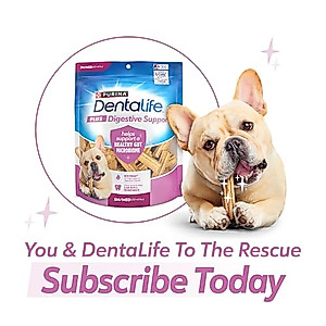 Purina Dentalife Plus Digestive Support Chicken and Pumpkin Flavor Small/Medium Dog Dental Chews - 19 ct. Pouch