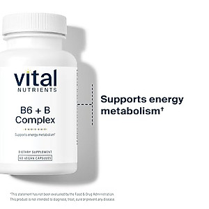 Vital Nutrients Vitamin B6 + B Complex | Vegan Methylated B Vitamins for Energy, Metabolism, Heart Health* | High-Potency Vitamin B6 for Menstrual Discomfort * | Gluten, Dairy, Soy Free | 60 Capsules