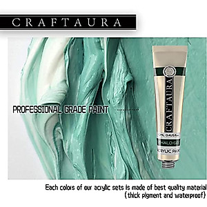 Acrylic Paint Set of 24 Expert Colors 12ml Tubes（0.4fl oz) and 3 Brushes.Non Toxic Pigment Paints for Artist,Hobby Painters & Kids.Ideal for Canvas Painting.