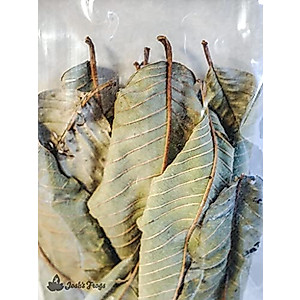 Josh's Frogs Guava Leaves Aquarium Leaf Litter (10 Count)