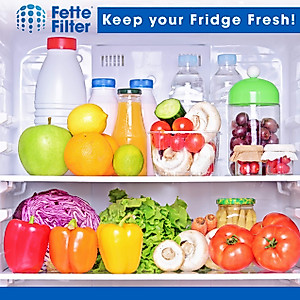 Fette Filter - Refrigerator Air Filter Compatiable with Frigidaire Paultra II, Pure Air Ultra II, Electrolux 242047805 5303918847 EAP12364179 Part Number 5303918847