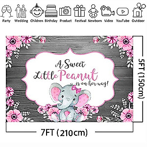Avezano Little Peanut Backdrop for Girls Baby Shower Party Background Pink Elephant and Floral Backdrops A Little Peanut is On The Way Baby Shower Supplies (7x5ft, Pink)