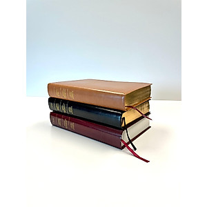 Santa Biblia NTV, letra súper gigante (Tapa dura, Vino tinto, Letra Roja) (Spanish Edition)