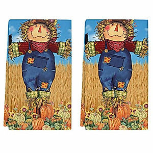 Fall Kitchen Towels Set of 2 Crow Scarecrow Pumpkin Dish Towels and Dishcloths Sets Decorative Tea Towel Sunflower Wheat Absorbent Hand Towels for Kitchen Drying Bathroom Thanksgiving Decor Gift 18x28