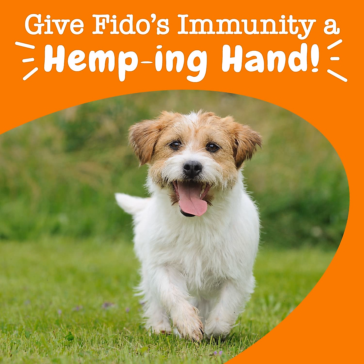 Zesty Paws Allergy Immune Soft Chews + Hemp Seed for Dogs - with Turmeric, Cod Liver Fish Oil, Beta Glucan, Vitamin C & Quercetin - Supports Dog Immune System Function + Seasonal Allergies - 90 Chews