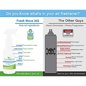 Fresh Wave IAQ Commercial Odor Eliminating Air & Surface Liquid, 1 Gallon | Safer Odor Relief | Natural Plant-Based Odor Eliminator | Odor Absorber for Home or Commercial Areas