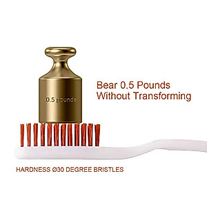 DR PERFECT WISDMAX Toothbrushes Hard Toothbrush for Smoker's Teeth Whitening Pack of 12